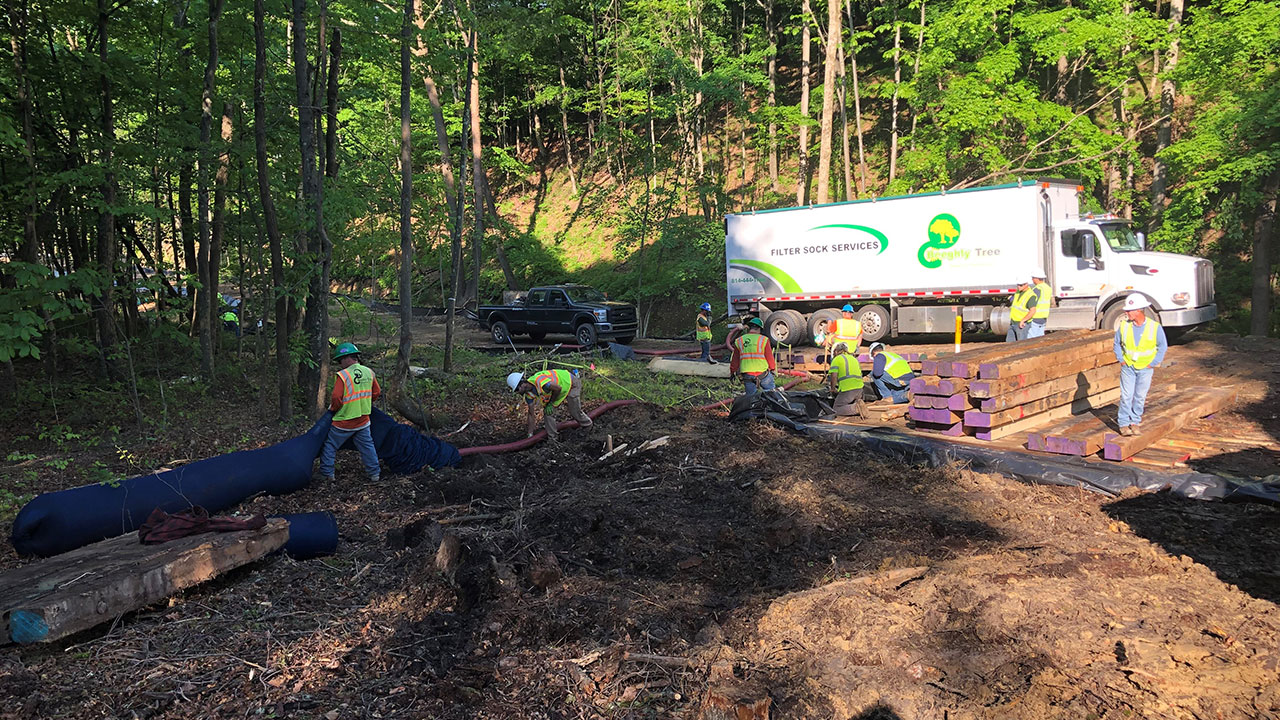 Project Gallery | Pro Gro Environmental