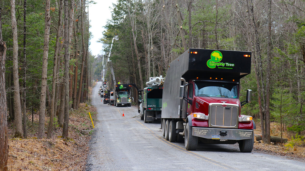 Project Gallery | Pro Gro Environmental