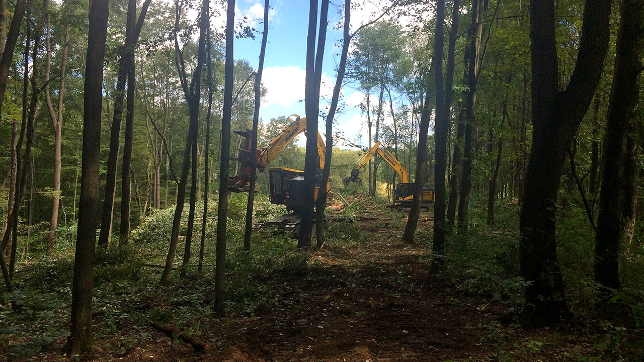 Project Gallery | Pro Gro Environmental