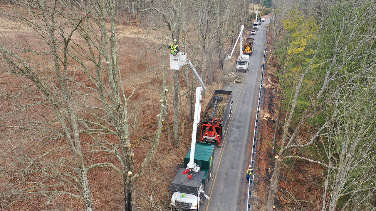 Project Gallery | Pro Gro Environmental