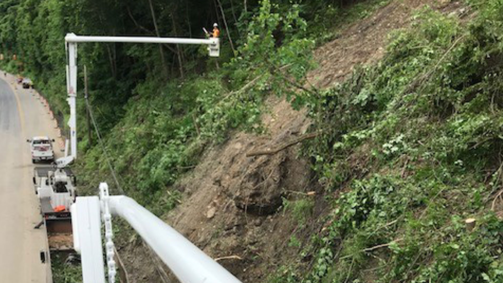 Project Gallery | Pro Gro Environmental